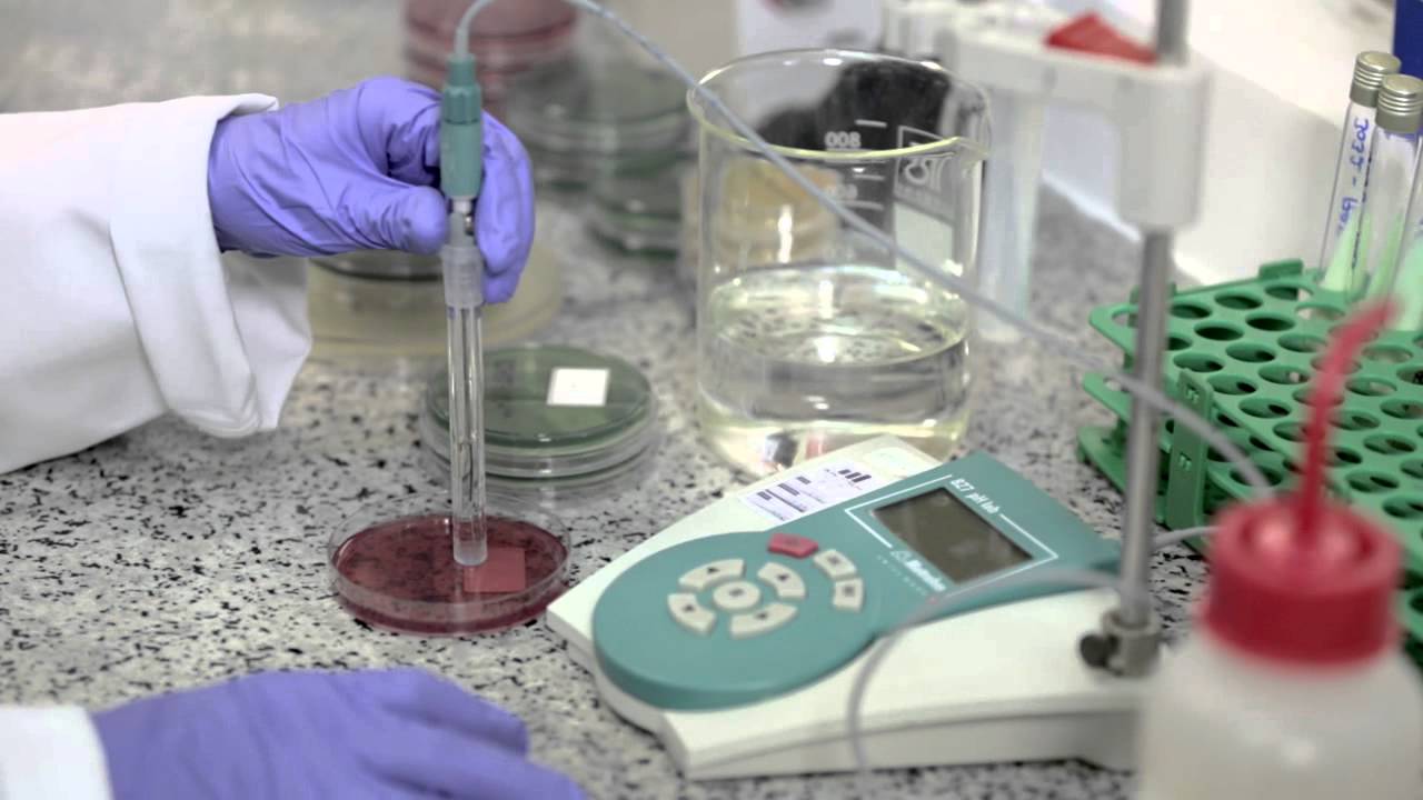 Plast Labor 25 Anos - YouTube