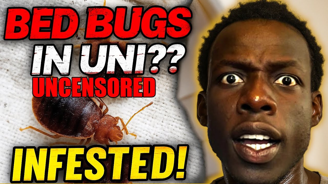 Kenyan University Hostels EXPOSED! (JKUAT Bed Bug Problem!!!)UNCENSORED - YouTube