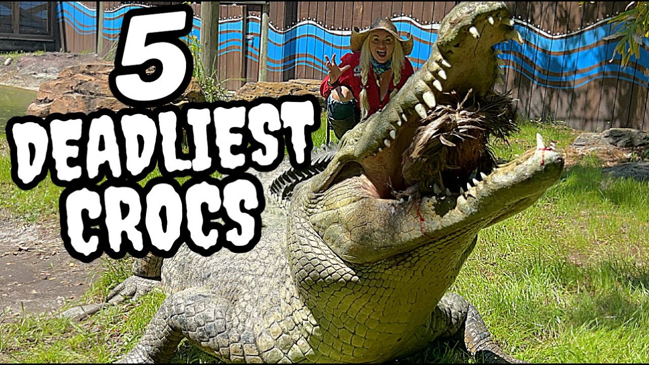 Top 5 Deadliest Crocodiles!! - YouTube
