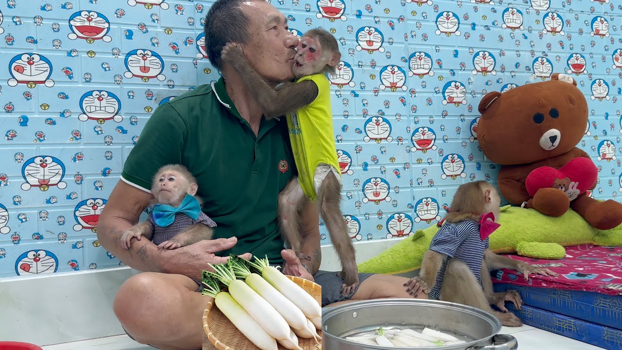 Grandpa boiled white radish for Monkey baby - YouTube