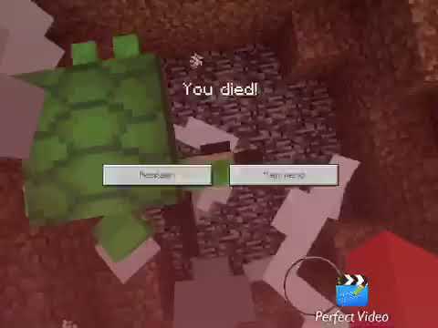 MINE TURTLE IN MINECRAFT (From asdfmovie) - YouTube