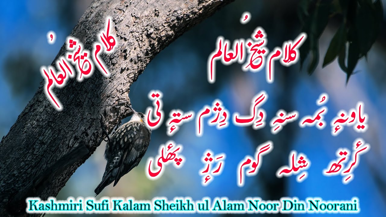 Kashmiri Sufi Kalam || Nund Rishi || یاونہ بُمہ سنہِ دِگ دژم ستہ تی ...