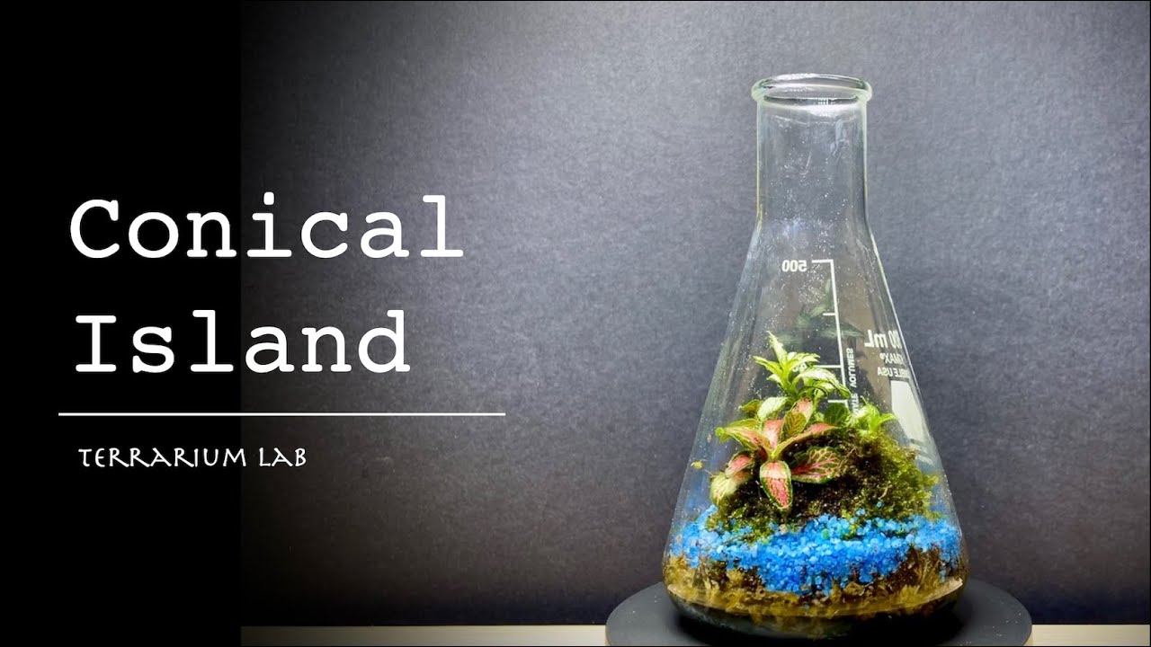 Conical Island | Terrarium Lab - YouTube