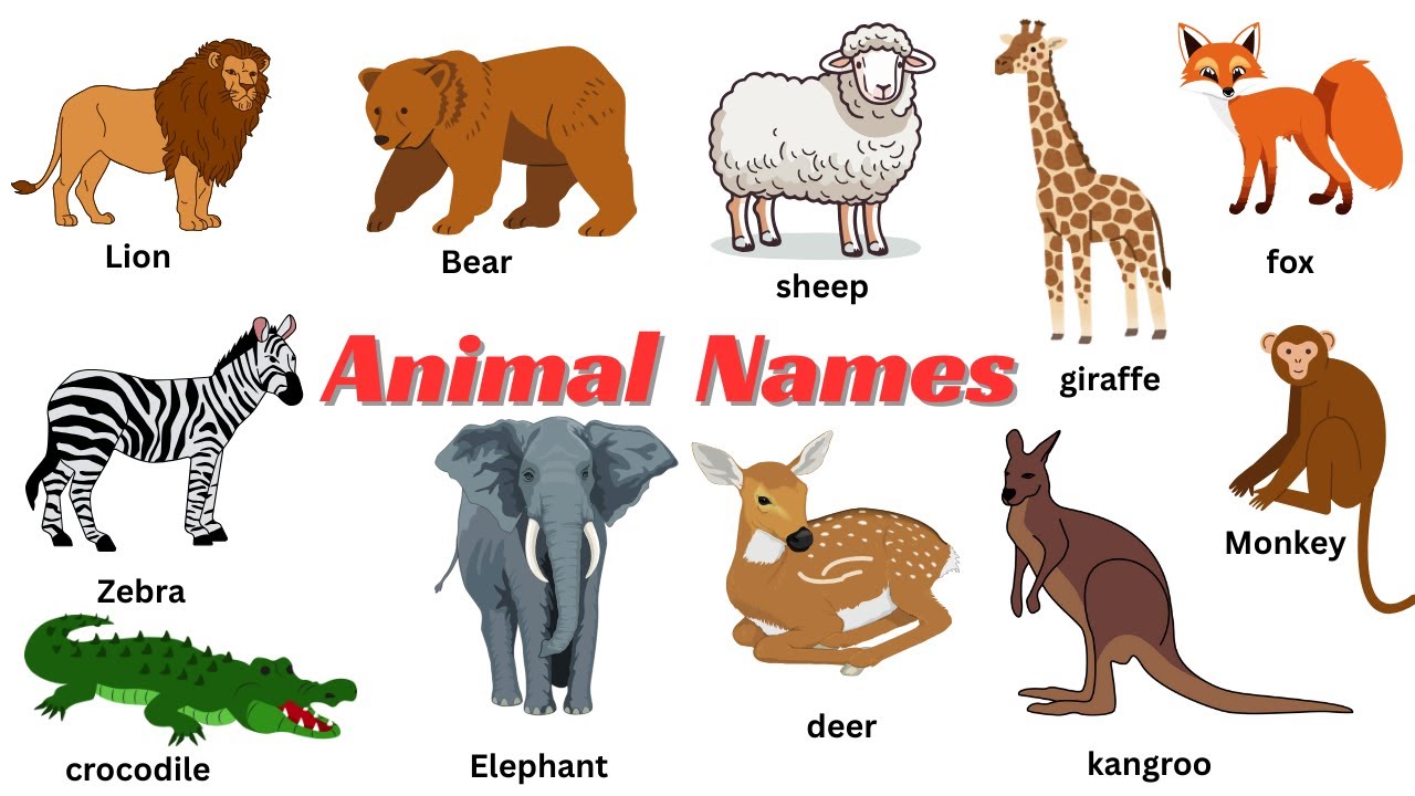 🐯🦁 Learn Animal Names for Kids | Fun Repetition with Sounds & Pauses 🐰🐼 - YouTube