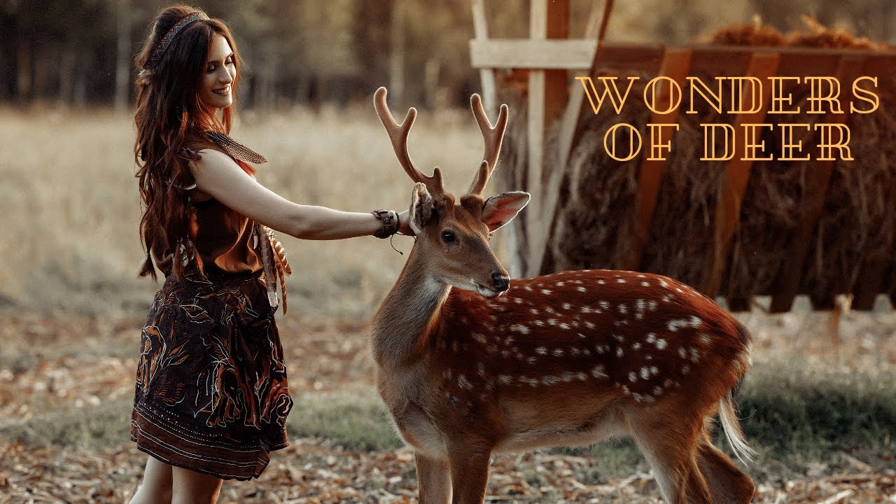 Discover the Wonders of Deer: 5 Fun Facts for Kids | Wild Animals | Animal World | Wildlife ...