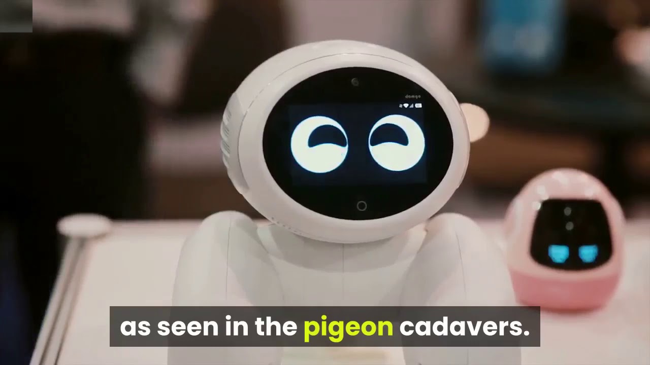 pigeonbot is the first robot that can bend its wings like a real bird ...