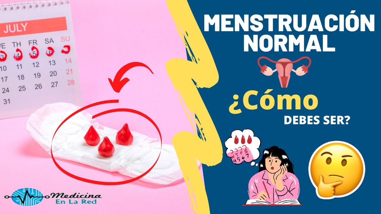 ¿Cómo debe ser la MENSTRUACIÓN NORMAL? | Medicina en la Red🩺 - YouTube