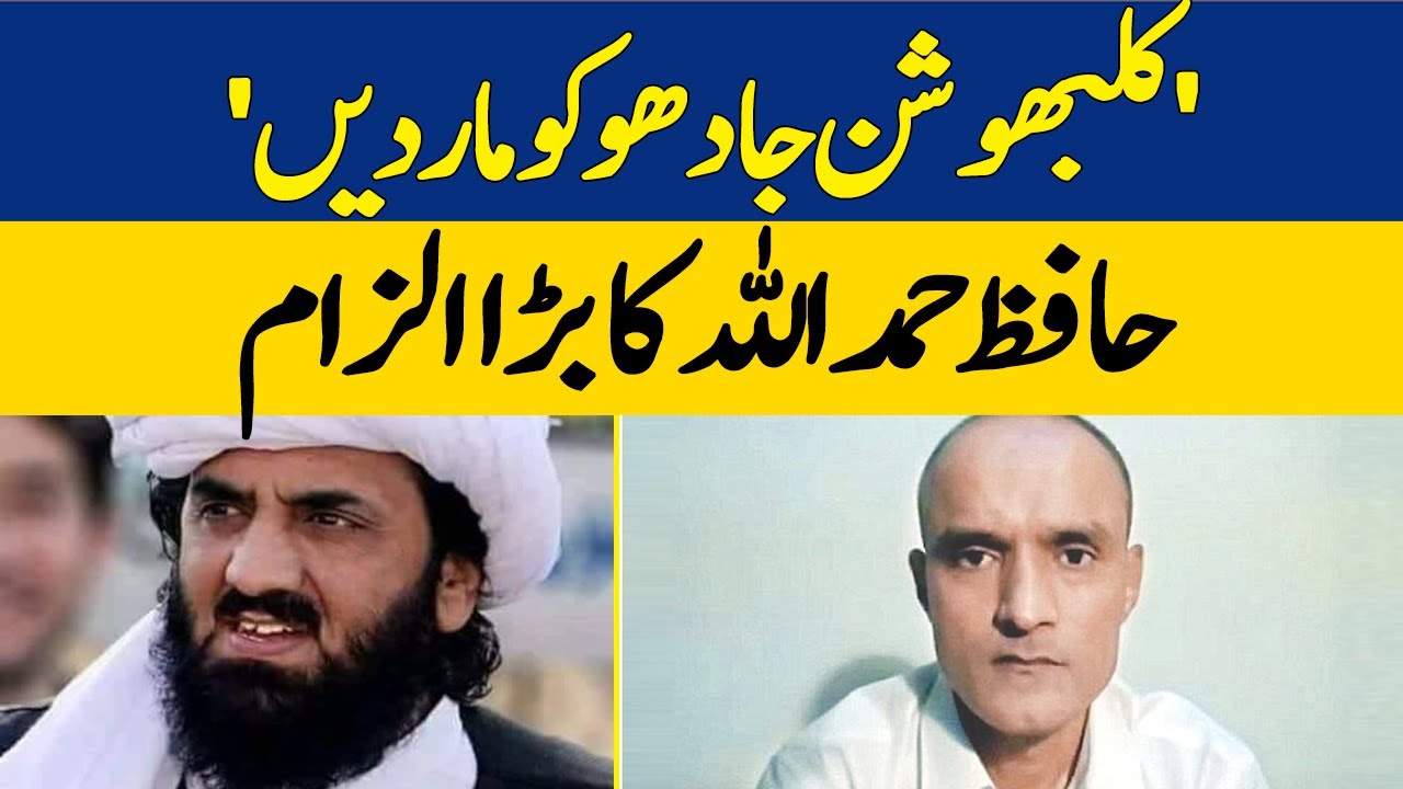 Hafiz Hamd Ullah’s Statement Against Operation Azam-e-Istehkam | Live With Adil Shahzeb | Dawn ...