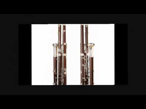 Beethoven: Fur Elise (for Contrabassoon) - YouTube