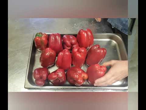 Peperoni ripieni di carne #allaromana #cucinadellatradizione