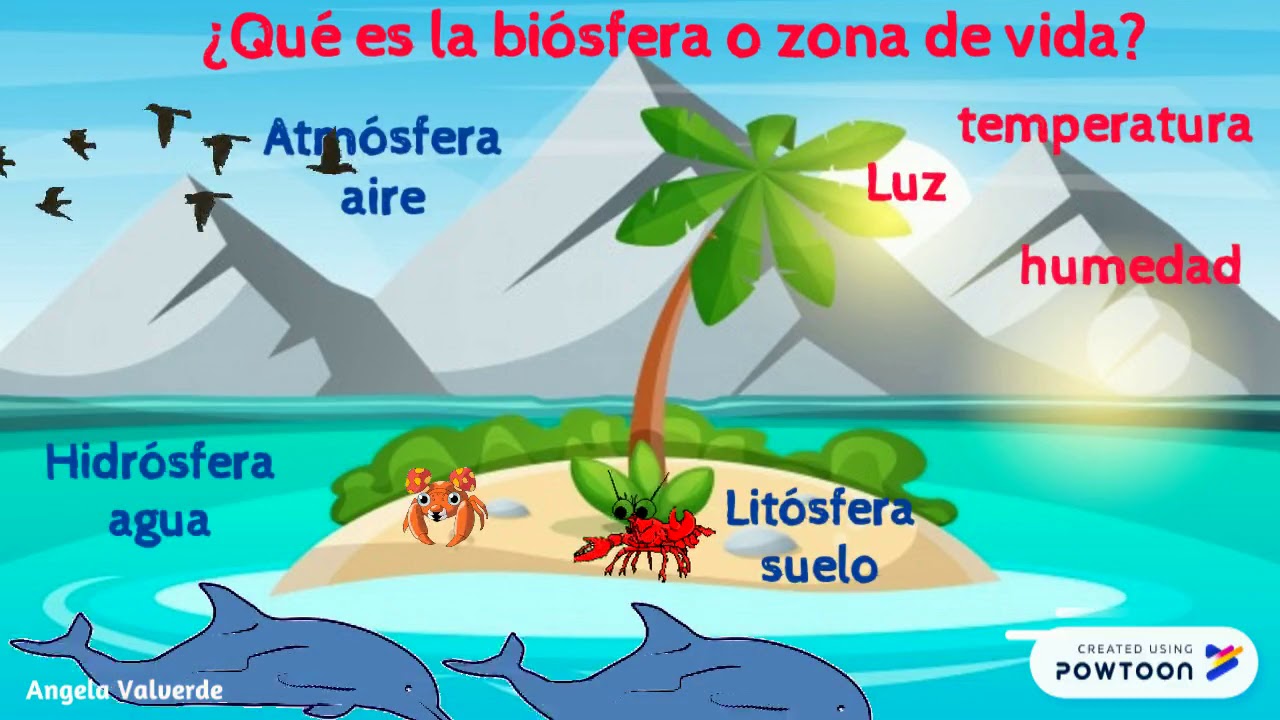 BIÓSFERA Y BIOMAS - YouTube