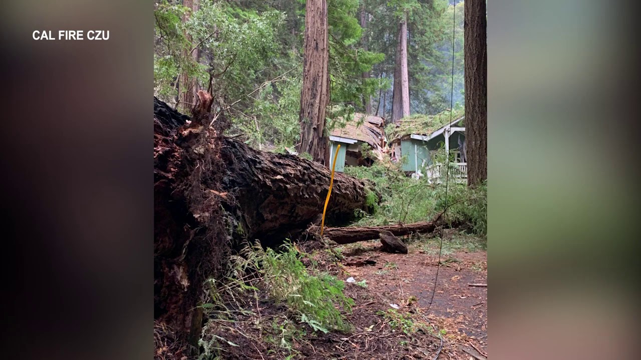 Cal Fire CZU shares photos of hazards in fire evacuation zones.mp4 ...