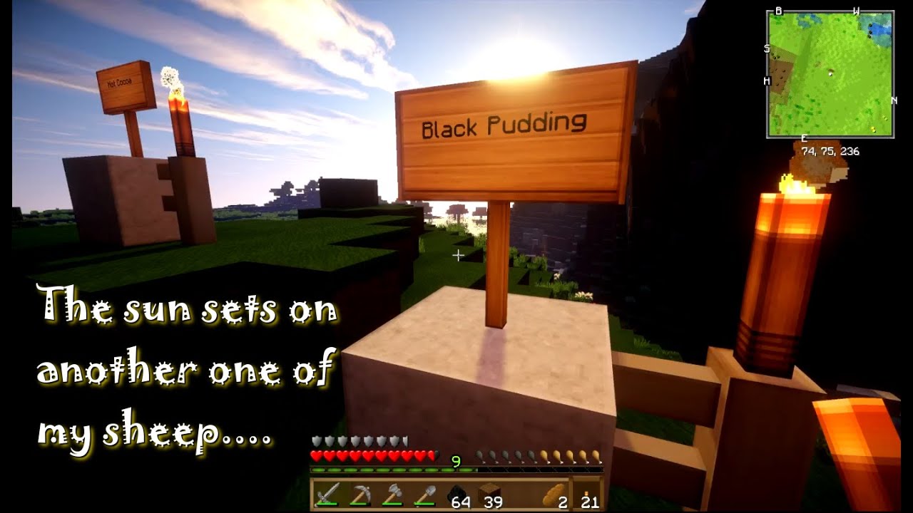 Minecraft MMOG Episode 12: I'm So So Sorry - YouTube