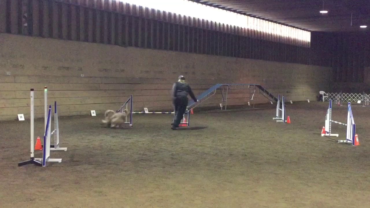 KKs Challenge Capital Comets - YouTube