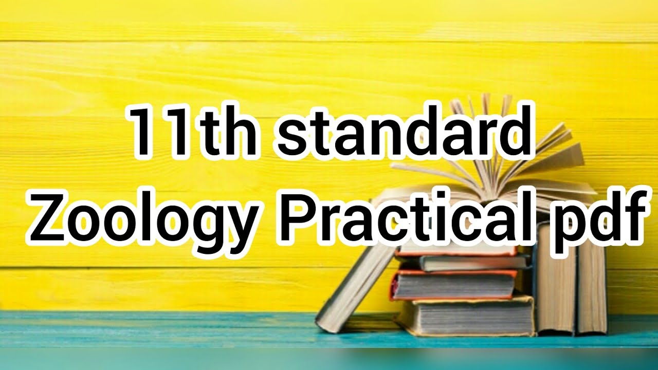 11th standard Zoology Practical / - YouTube