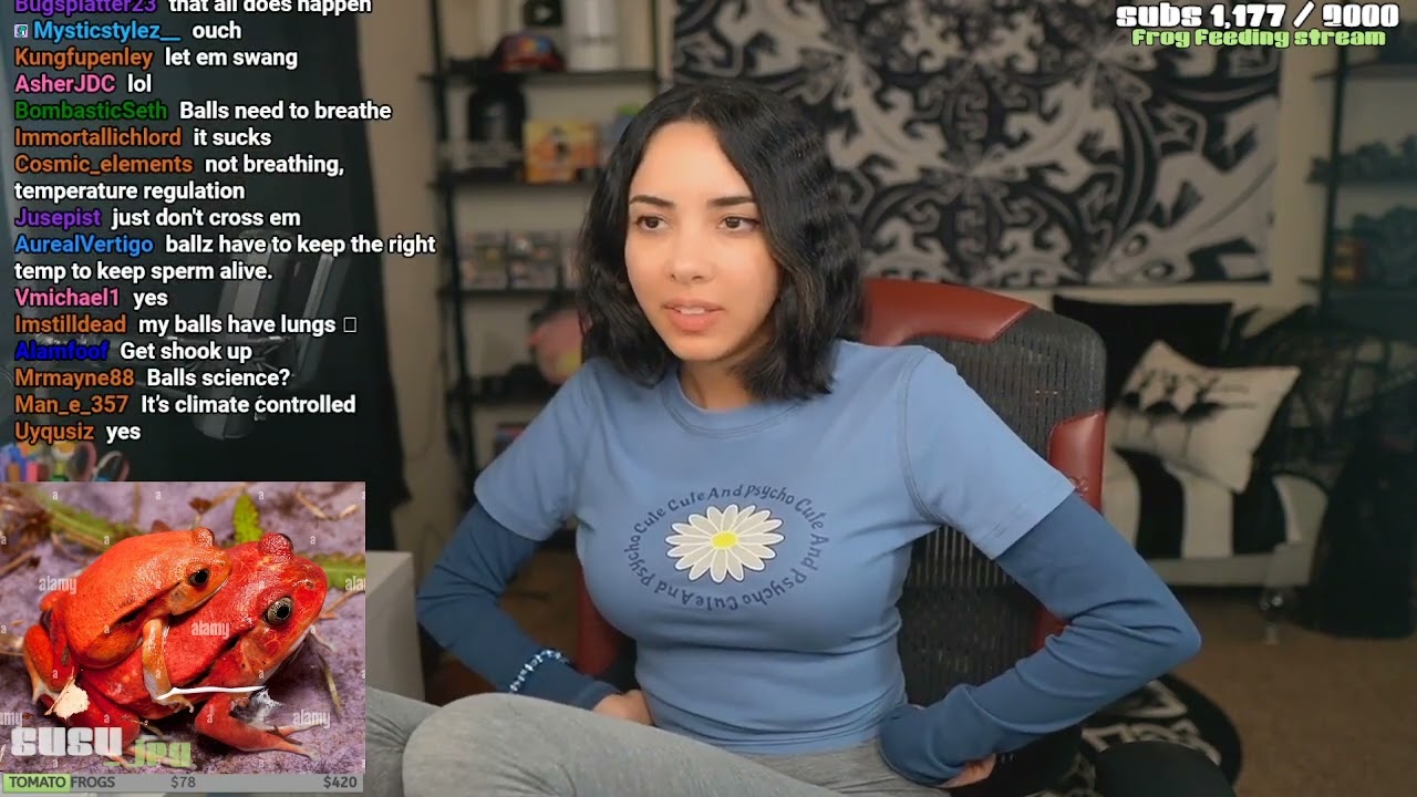 Susu- A Bra for Your Balls - YouTube