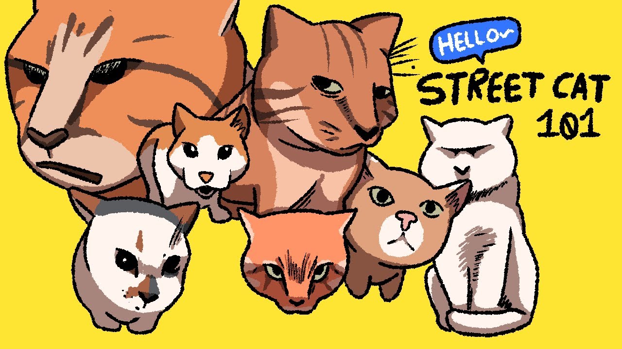 The Mr. Fresh Universe Explained: Hello Street Cat 101 - YouTube