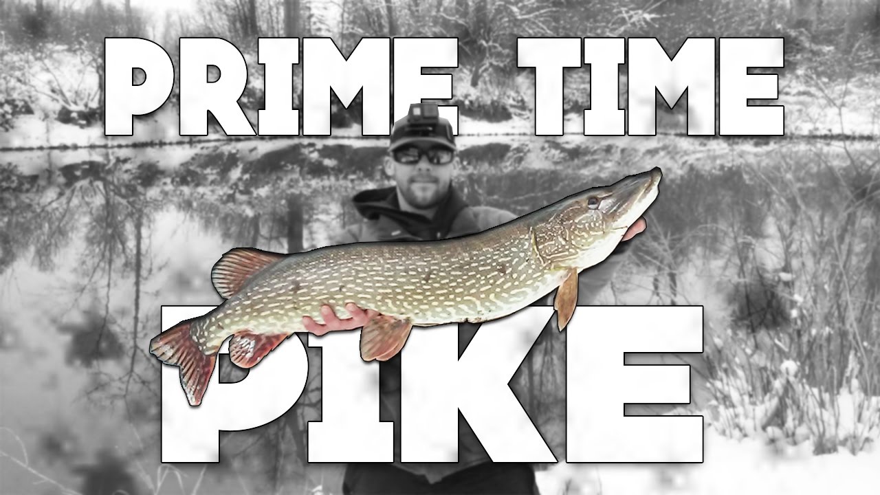 Monster Montana PIKE Fishing - YouTube
