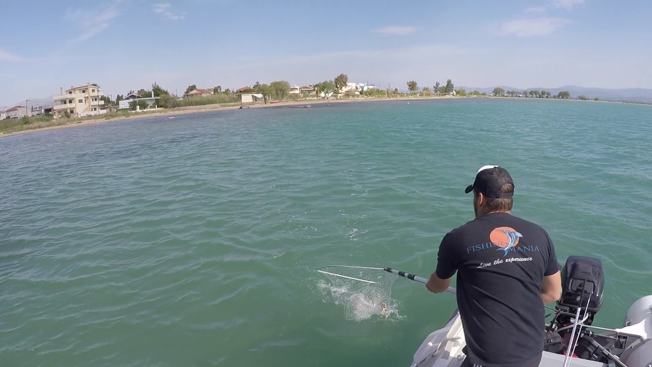 Boat spinning ! top water action ! - YouTube