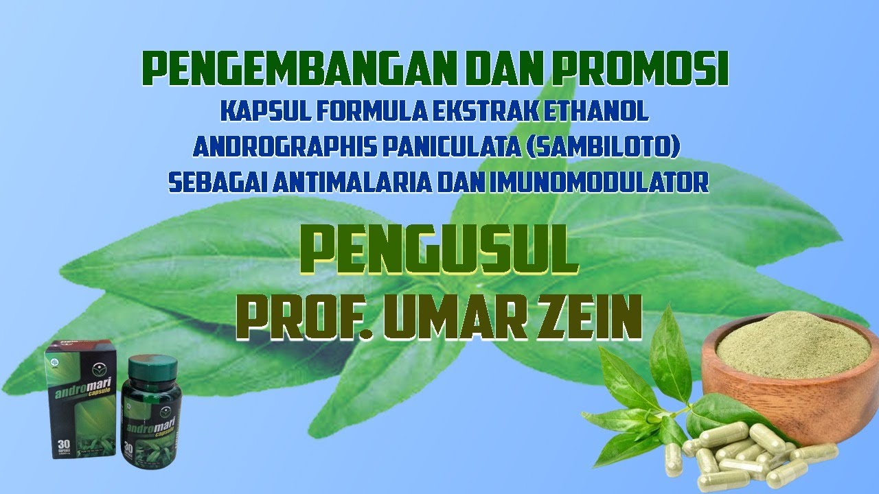 PROPOSAL MATCHING FOUND KEDAIREKA KEMENDIKBUD 2022 | Prof. Umar Zein ...