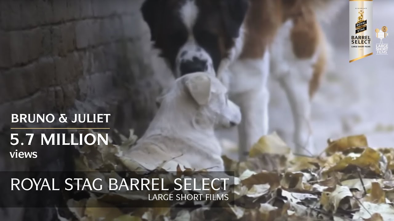 Bruno & Juliet | Imtiaz Ali Short Film | Royal Stag Barrel Select ...