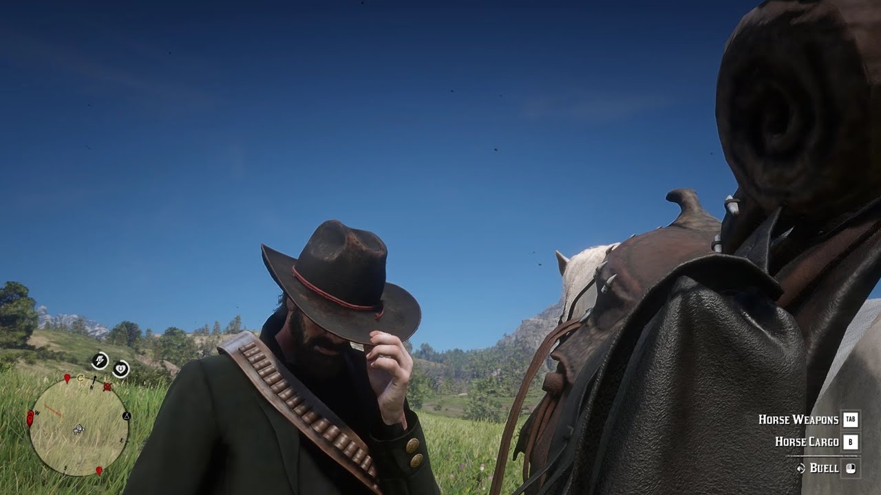 HOW TO HUNT A PERFECT BISON IN RDR2 - YouTube