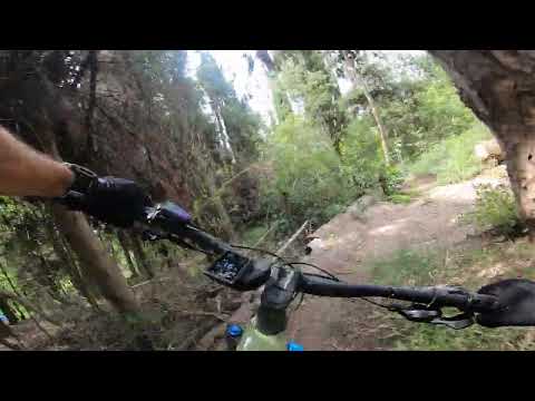 torricelle radici trail emtb