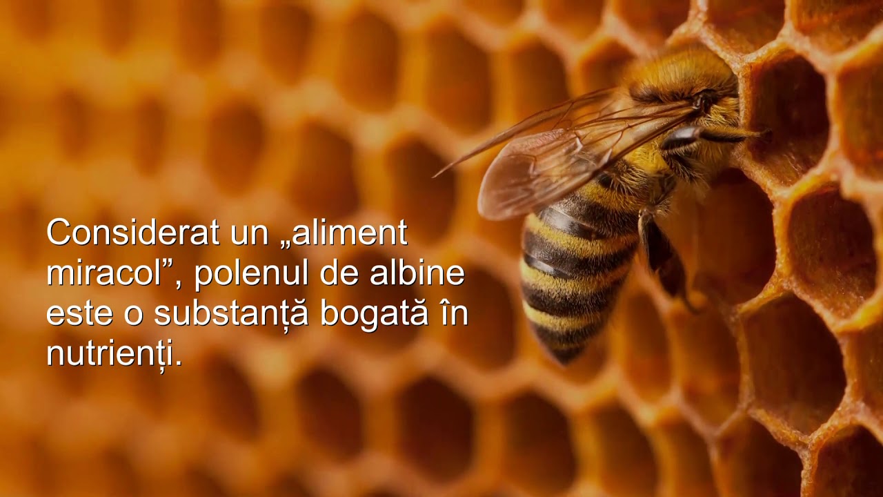 Despre produsele apicole Forever - YouTube