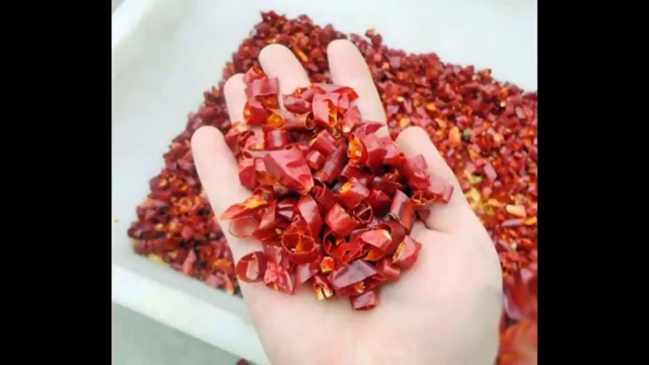 Chilli Cutter - YouTube