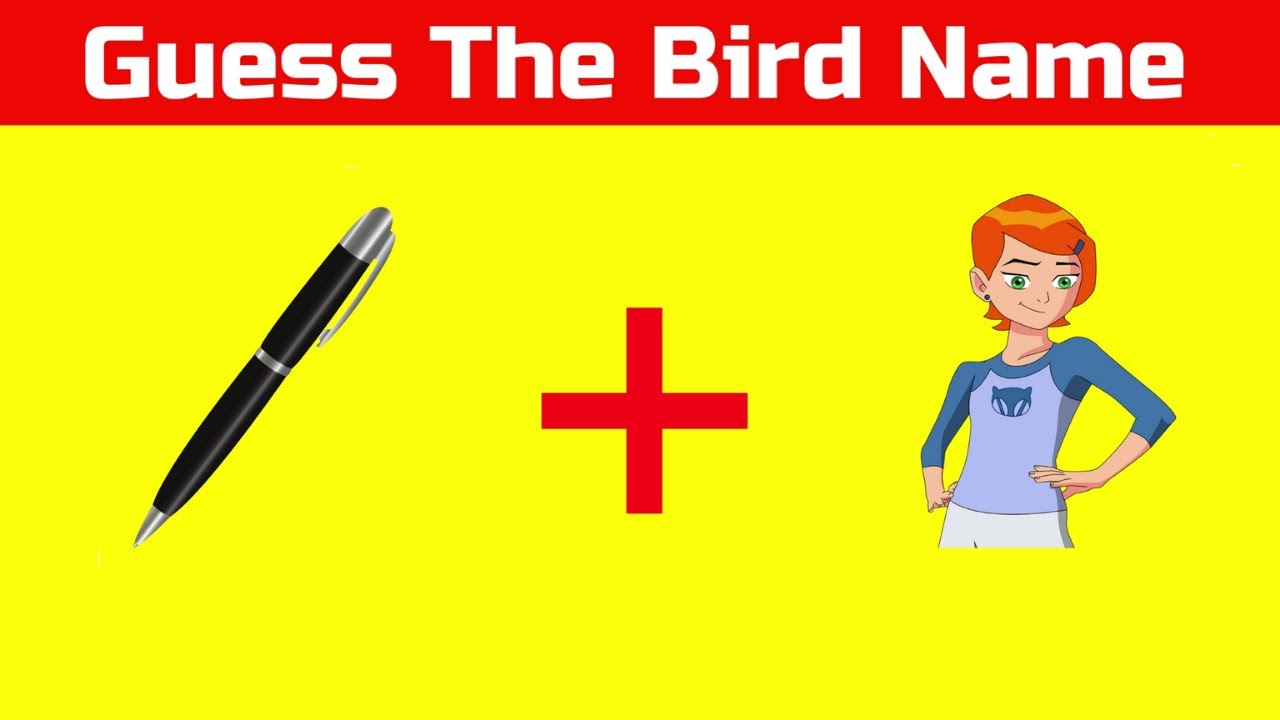 Guess The Bird || Birds Name || Most beautiful birds - YouTube
