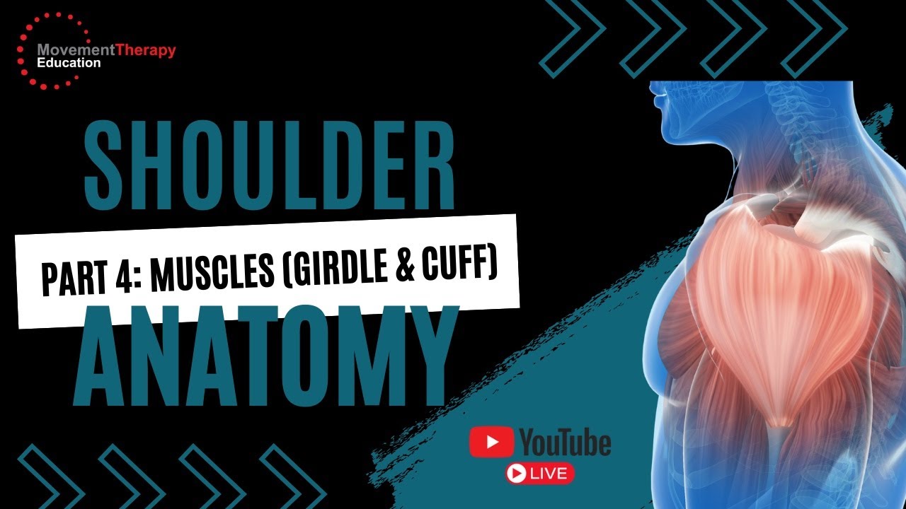Shoulder Girdle Anatomy Simplified - YouTube