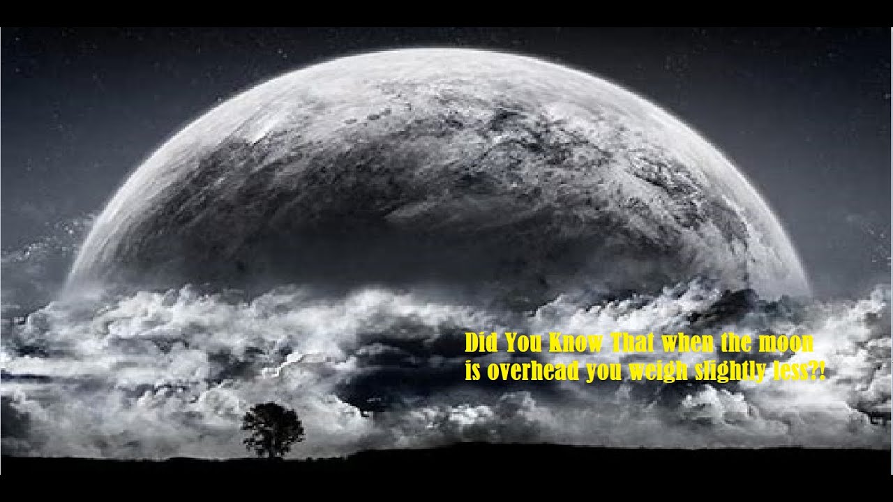 🌙Did You know that when the moon is overhead, you weigh slightly less!🌙 ...