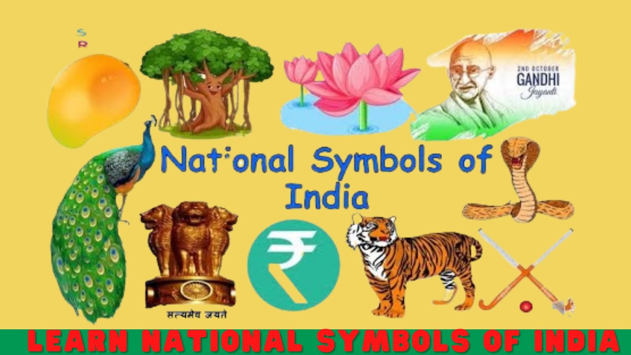 Learn National Symbols of India I National Symbols for Kids in English ...