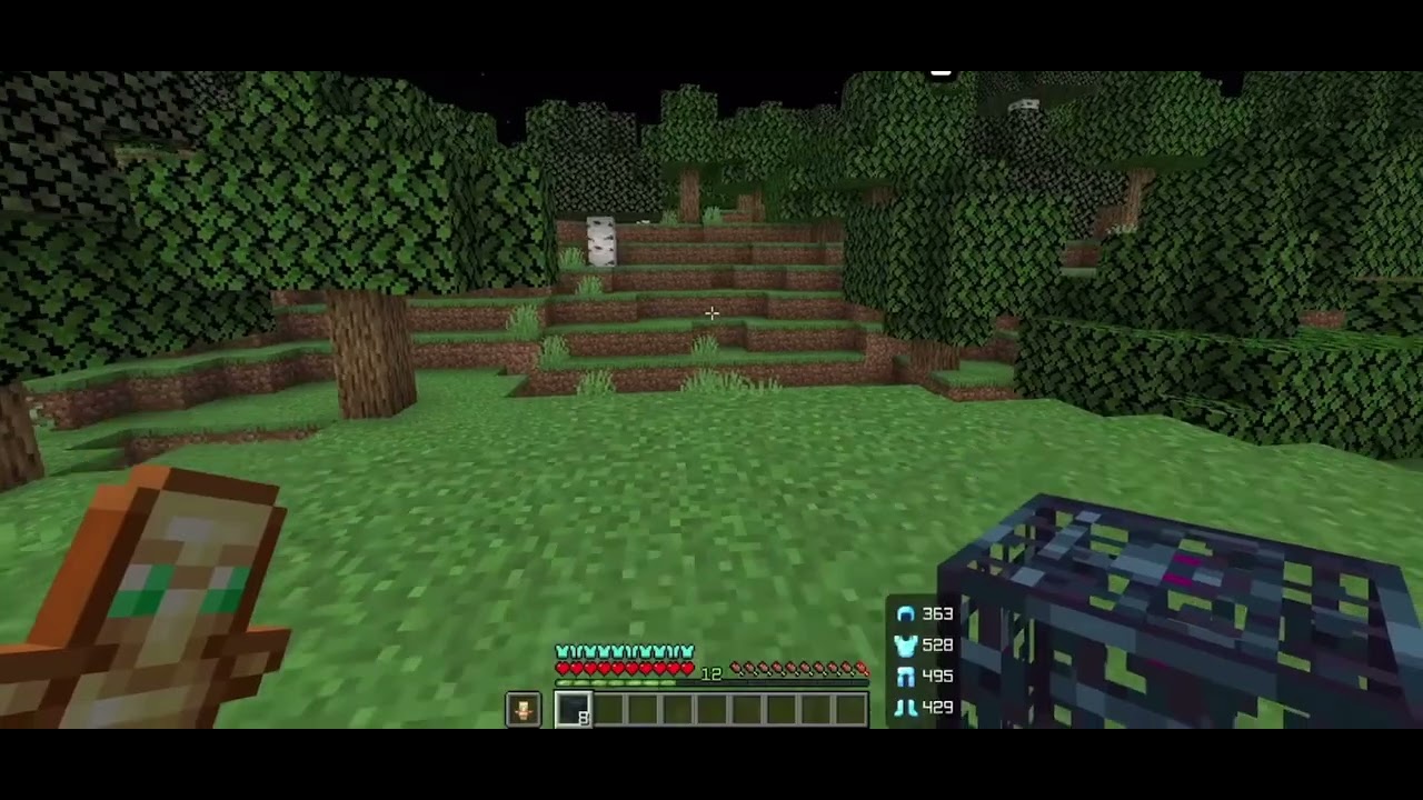 Donut smp dupe, STEP BY STEP guide - YouTube