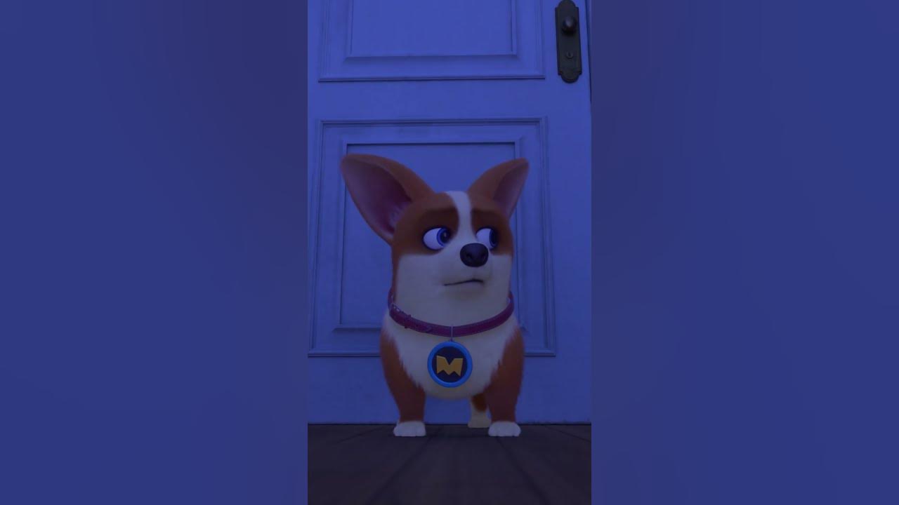 Flying MOCO 🐶 | Sleep Supervisor 監督早睡 | Flying MOCO Shorts 爆笑飛狗MOCO (2023) - YouTube