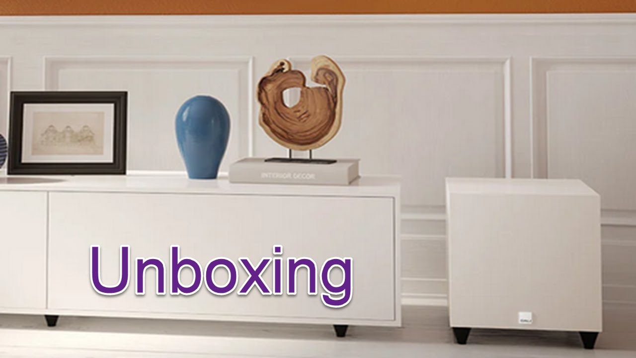 Dali Sub C-8 D unboxing - YouTube