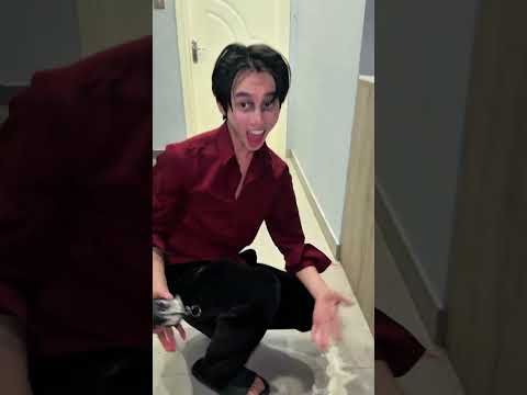 Why did Harley Quinn deceive the Joker with a snake#Harley Quinn #joker