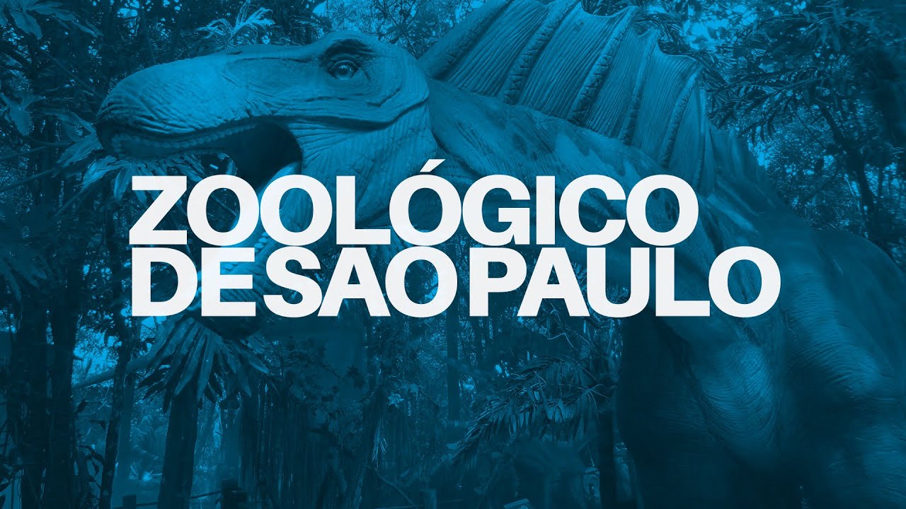 Conheça o ZOOLÓGICO de São Paulo - YouTube