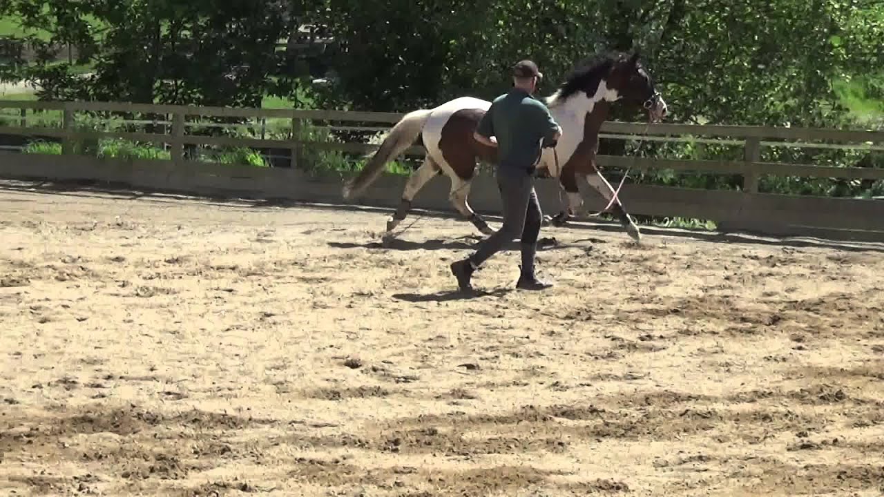 Sam Jumping 5 - YouTube