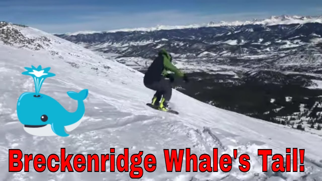 Breckenridge Colorado Snowboarding! Whale Tail Breckenridge! Dropping ...