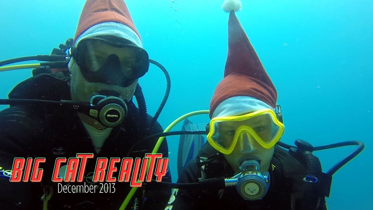 Big Cat Reality live aboard dive weekend - YouTube