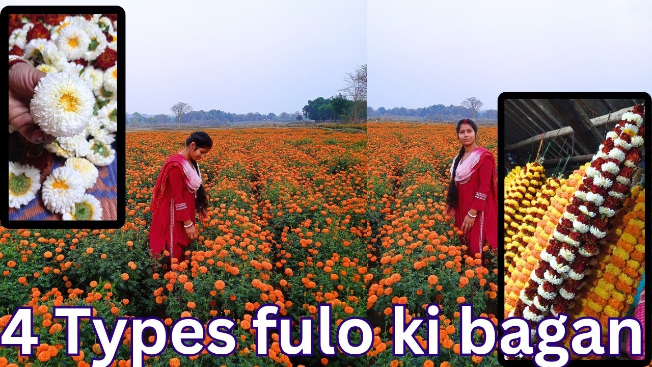 4 Types Gende🌺 Ki Fulo Ki Mala ||Red And White Colour Gende Ki Fulo Ki ...