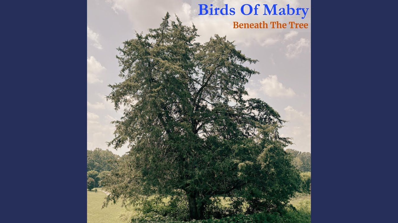 Birds of Mabry (Beneath the Tree) - YouTube