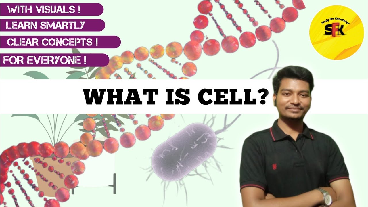 CLASS 11 | #CELL THE UNIT OF LIFE COMPLETE LECTURE WITH SHORT NOTES😱 ...