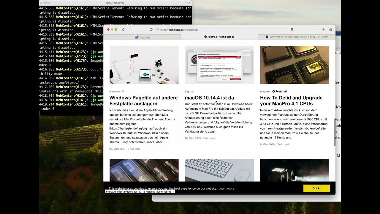 Ladybird Browser (Serenity OS Project) on macOS 14.5 - YouTube