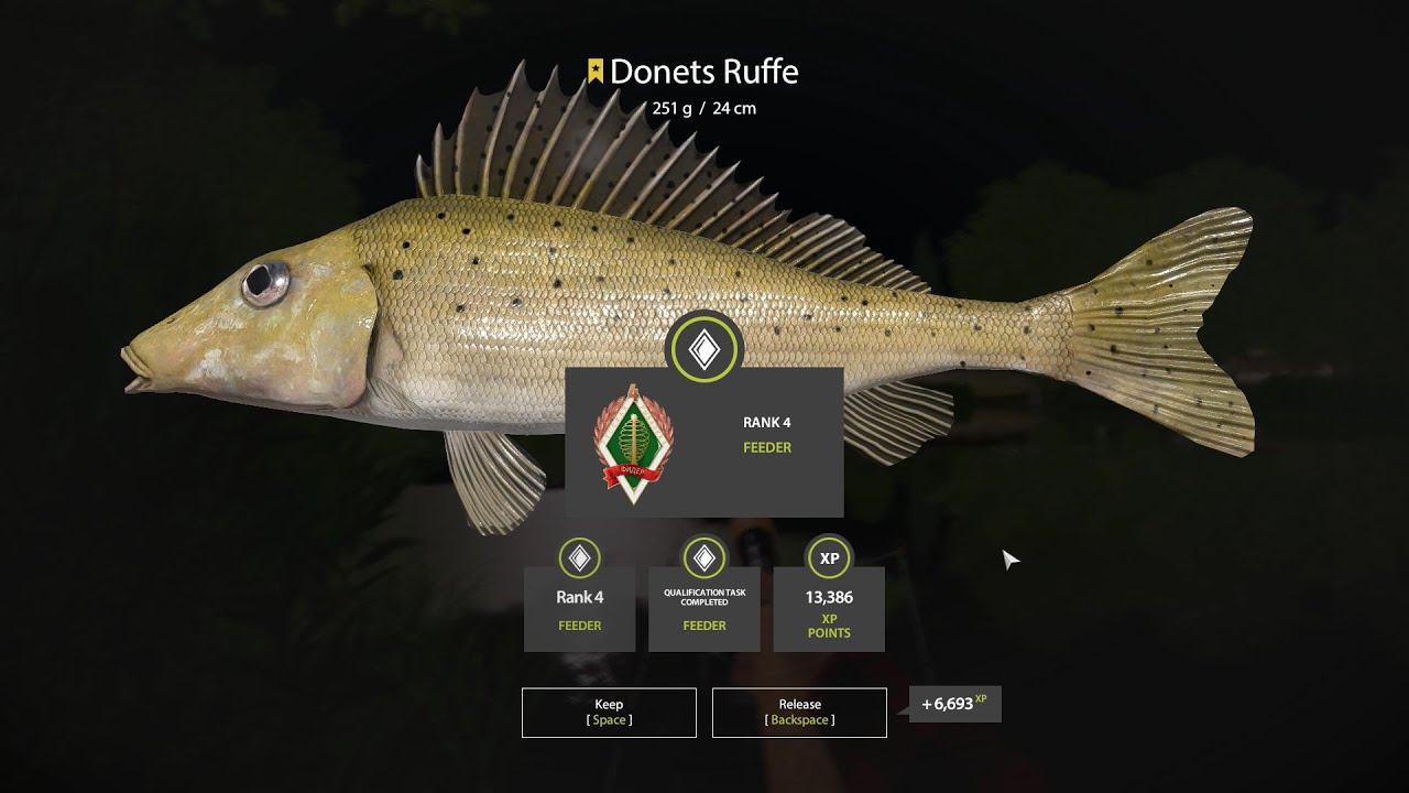Russian Fishing 4, Donetz Ruffe 251g Seversky Donets River - YouTube