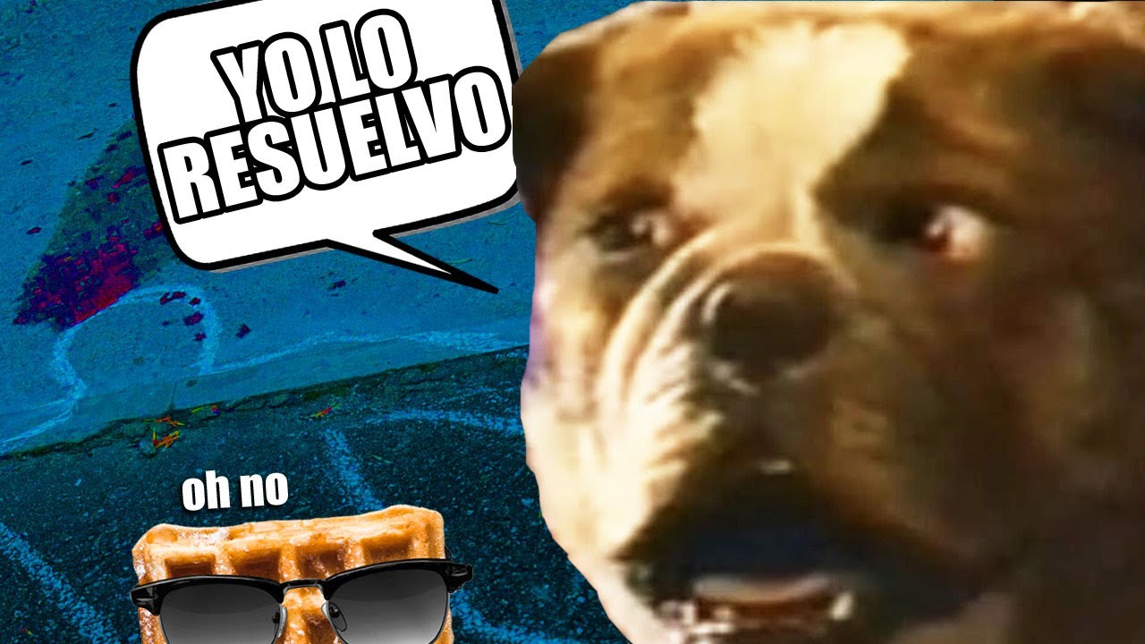 EL PERRO DETECTIVE QUE NO ES PERRO NI DETECTIVE - No Pasó Del Piloto ...