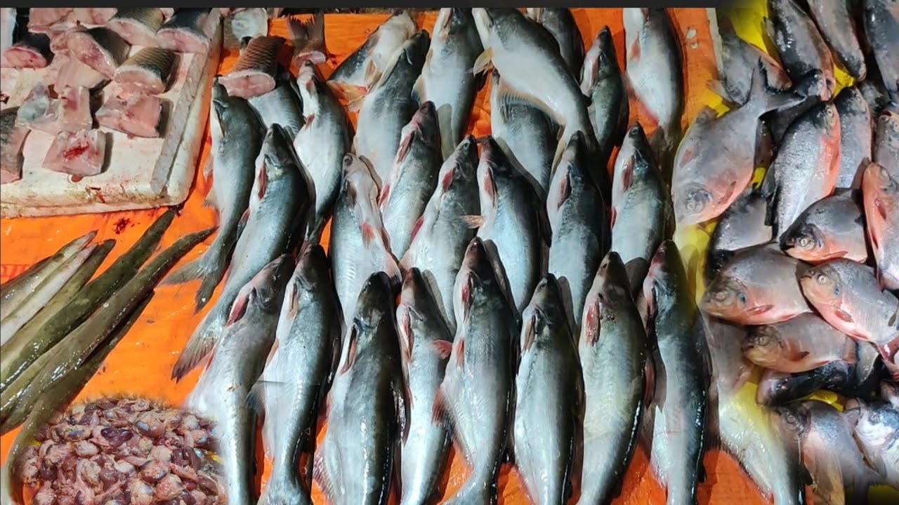 The biggest fish market in indore | सिर्फ 1 दिन खुलता है ये मार्केट | # ...