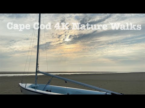 Brewster Flats Cape Cod Bay Walk 4K - YouTube