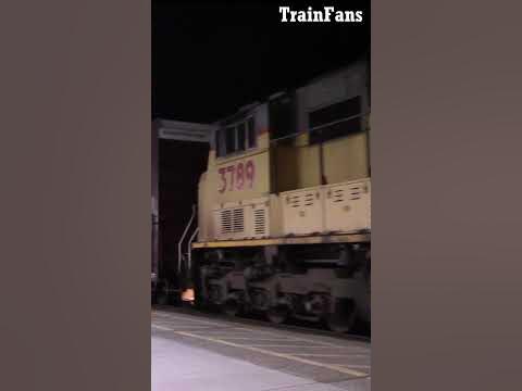 #shorts Manifest Train CN M397 CN 2265 CN 8880 & UP 3789 Locomotives #trains - YouTube